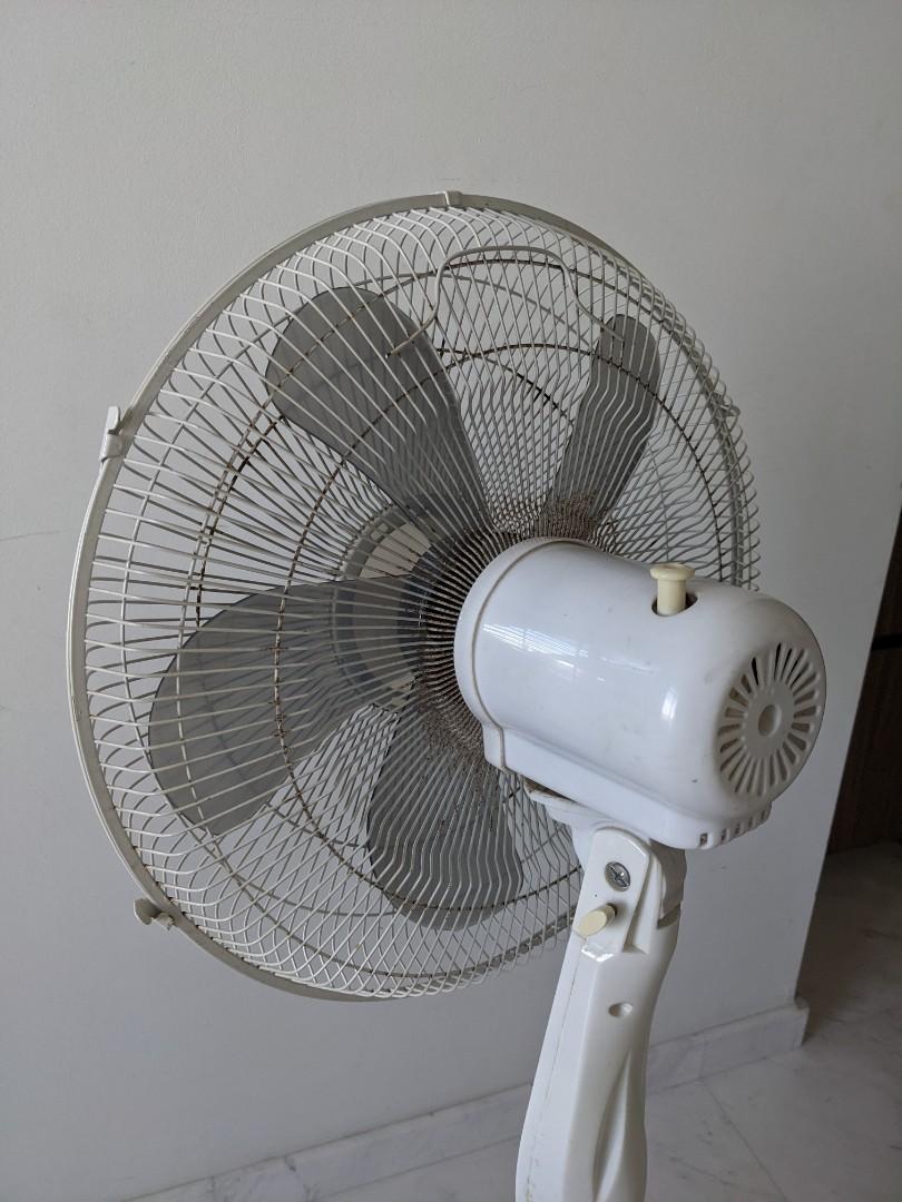 White standing fan, TV & Home Appliances, Air Conditioners & Heating on ...