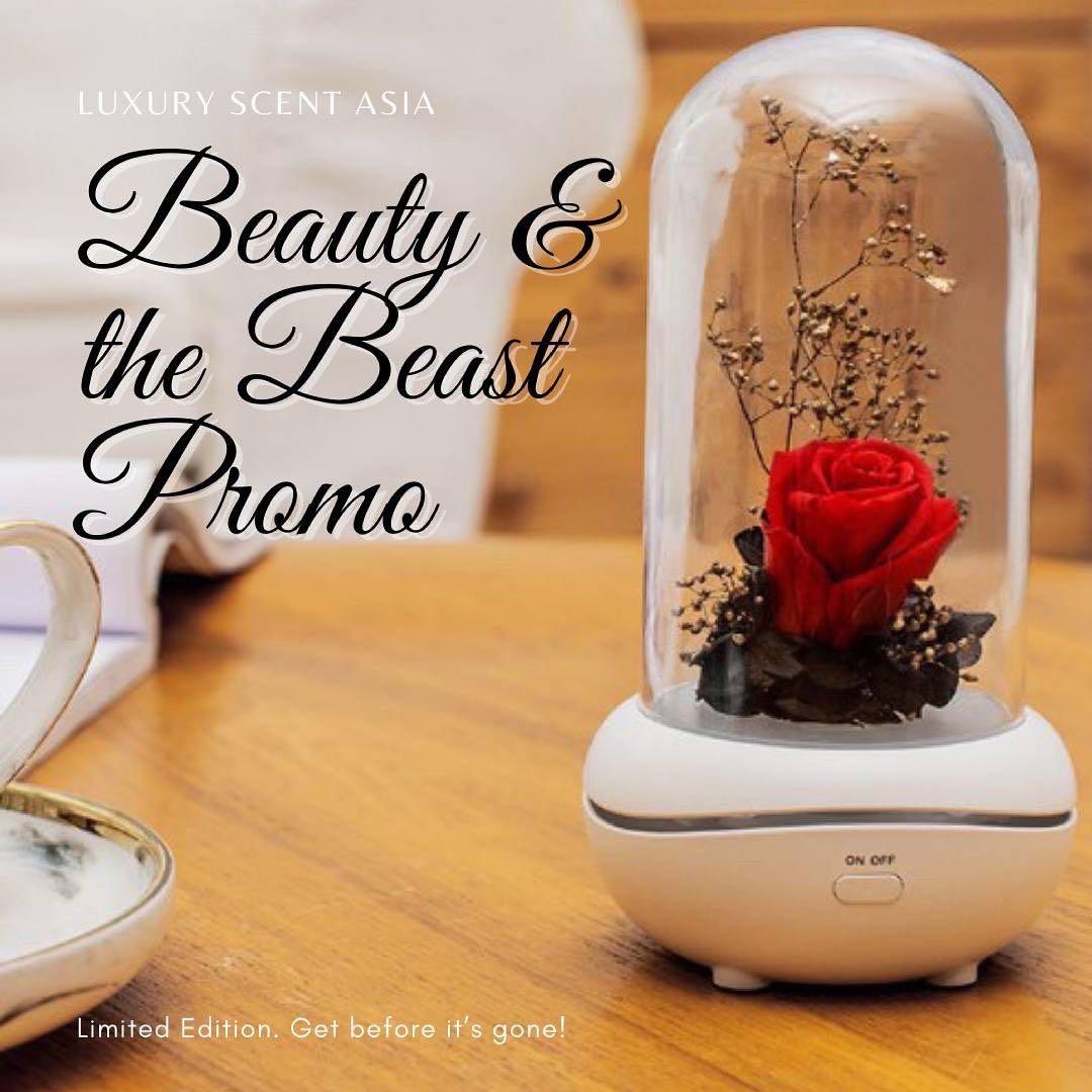 Aroma Diffuser, Everything Else on Carousell