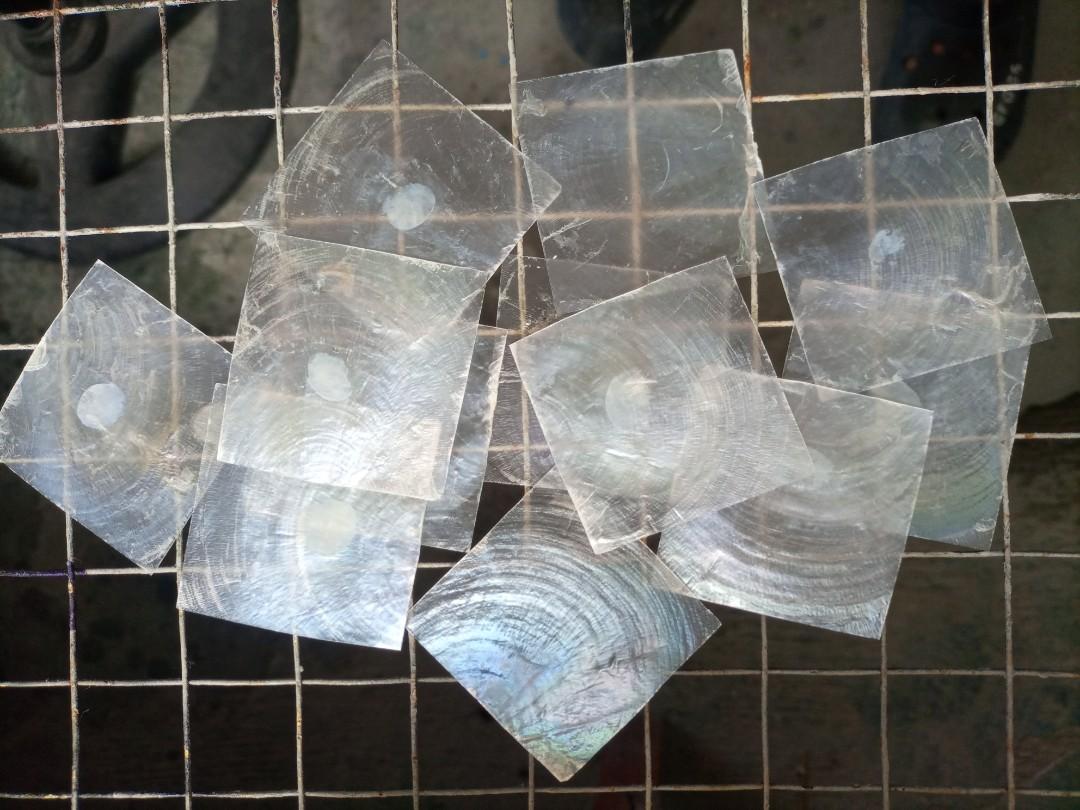 Capiz shell square cut (2"x2") 100pcs., Furniture & Home Living, Home ...