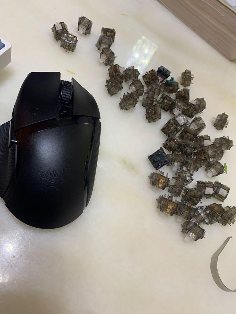 Ever glide oreo switches for custom mechanical keyboard , Computers ...