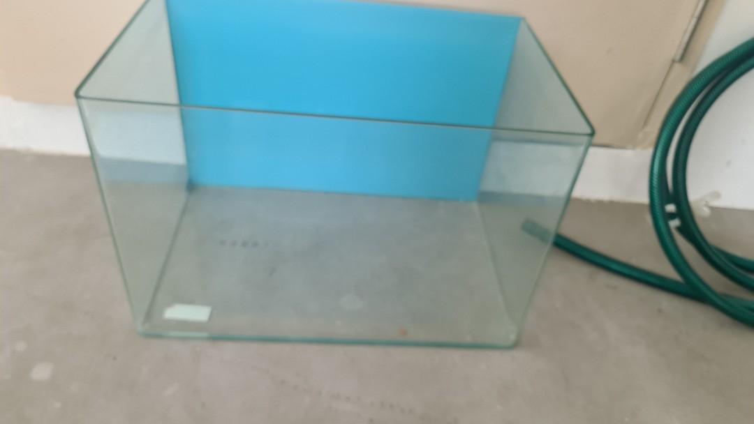 Fish tank glass curve 30cm, Sports Equipment, Fishing on Carousell
