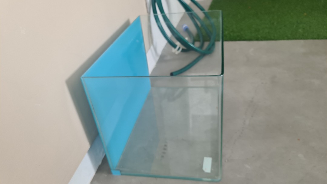 Fish tank glass curve 30cm, Sports Equipment, Fishing on Carousell