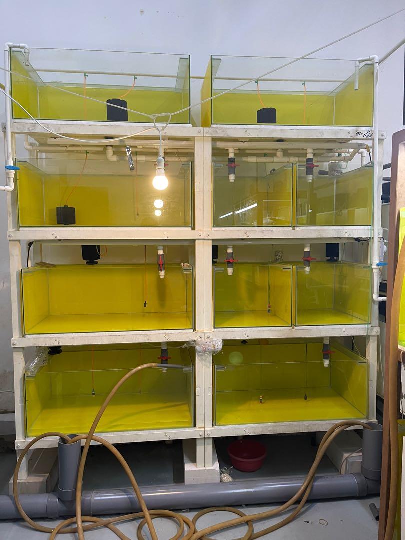Fish Tank Setup discus Pet Supplies Homes Other Pet Accessories On fish-tank-setup-discus-pet-supplies-homes-other-pet-accessories-on