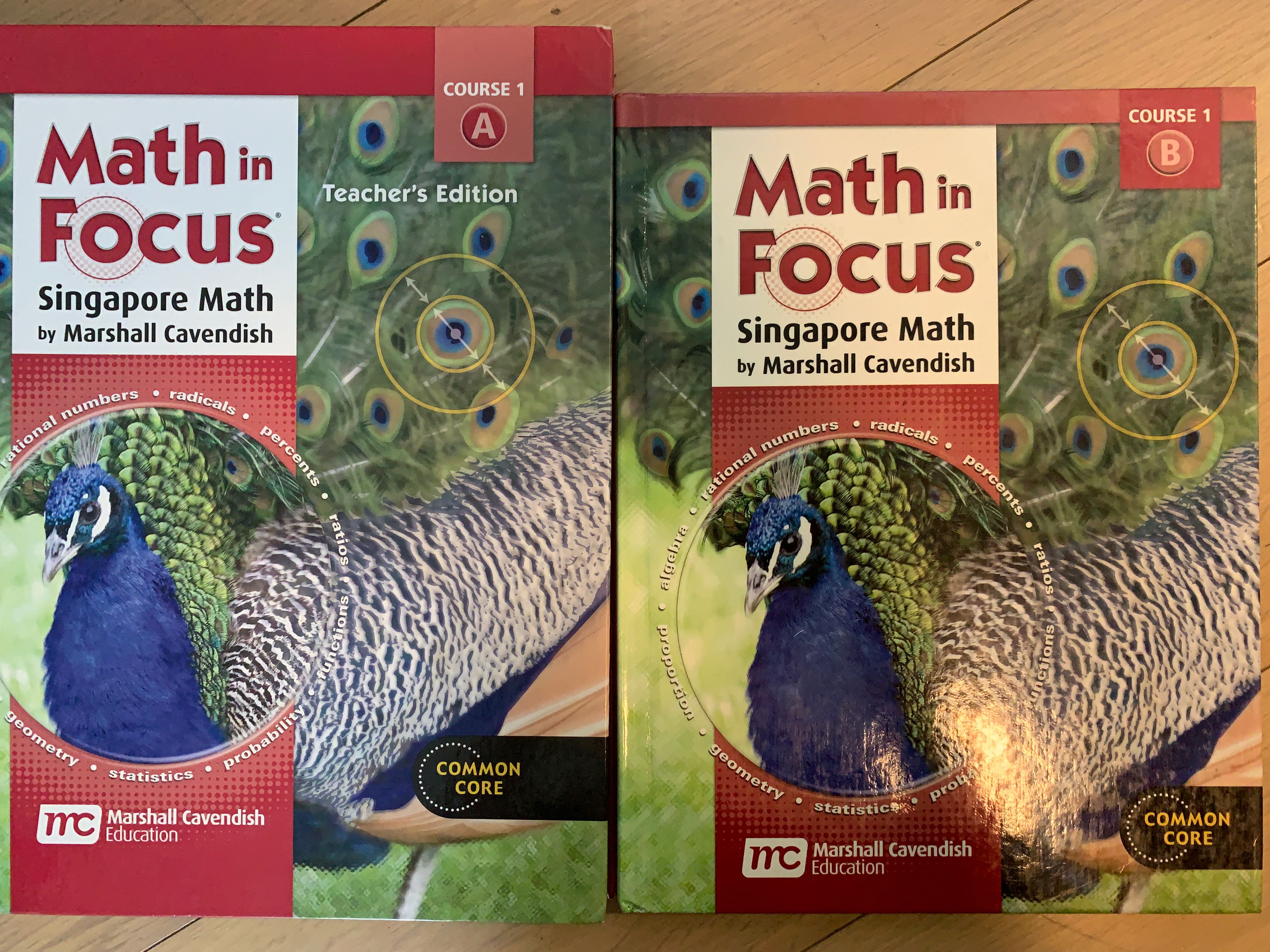 Math in focus Singapore Math - Course 1, 興趣及遊戲, 書本 & 文具, 教科書 - Carousell