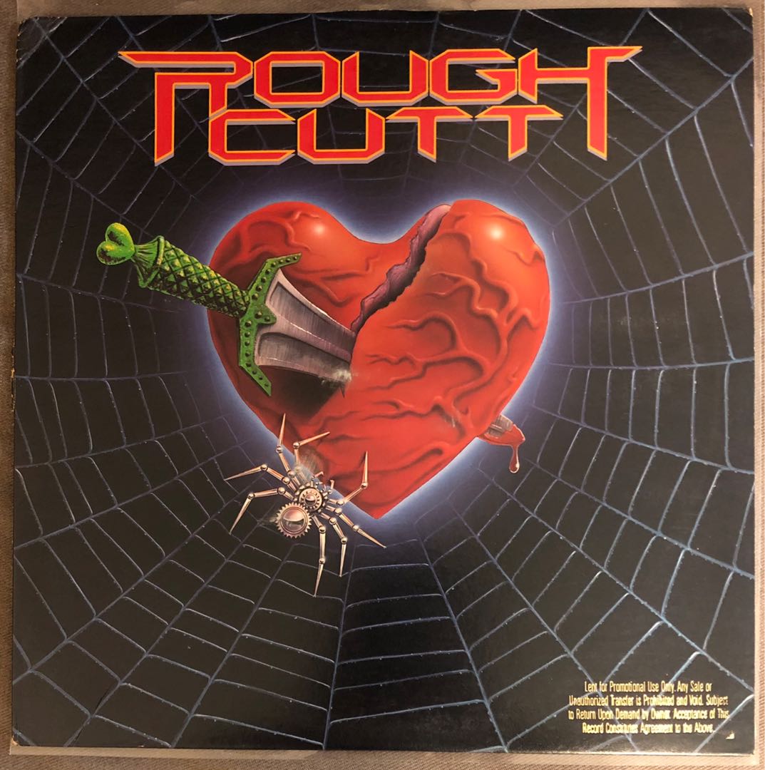 Rough Cutt ～ 黑膠唱片, 興趣及遊戲, 收藏品及紀念品, 明星周邊 - Carousell