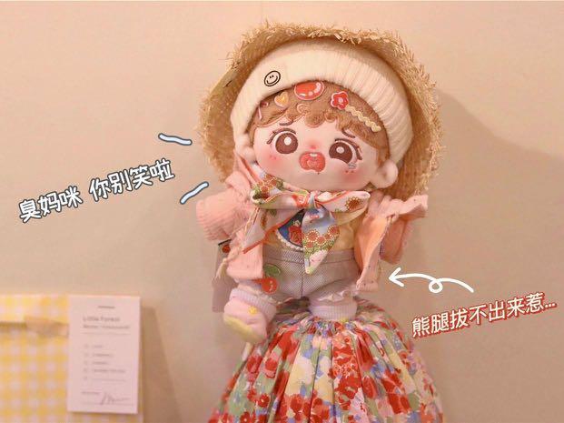 Xiao Zhan Kpop Doll (with skeleton inserted), Everything Else on Carousell