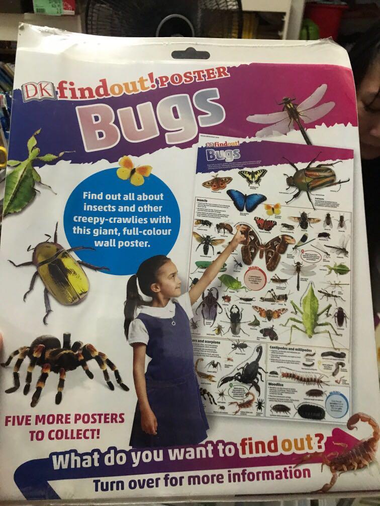 DK find out Posters BUGS, Hobbies & Toys, Books & Magazines, Children's ...
