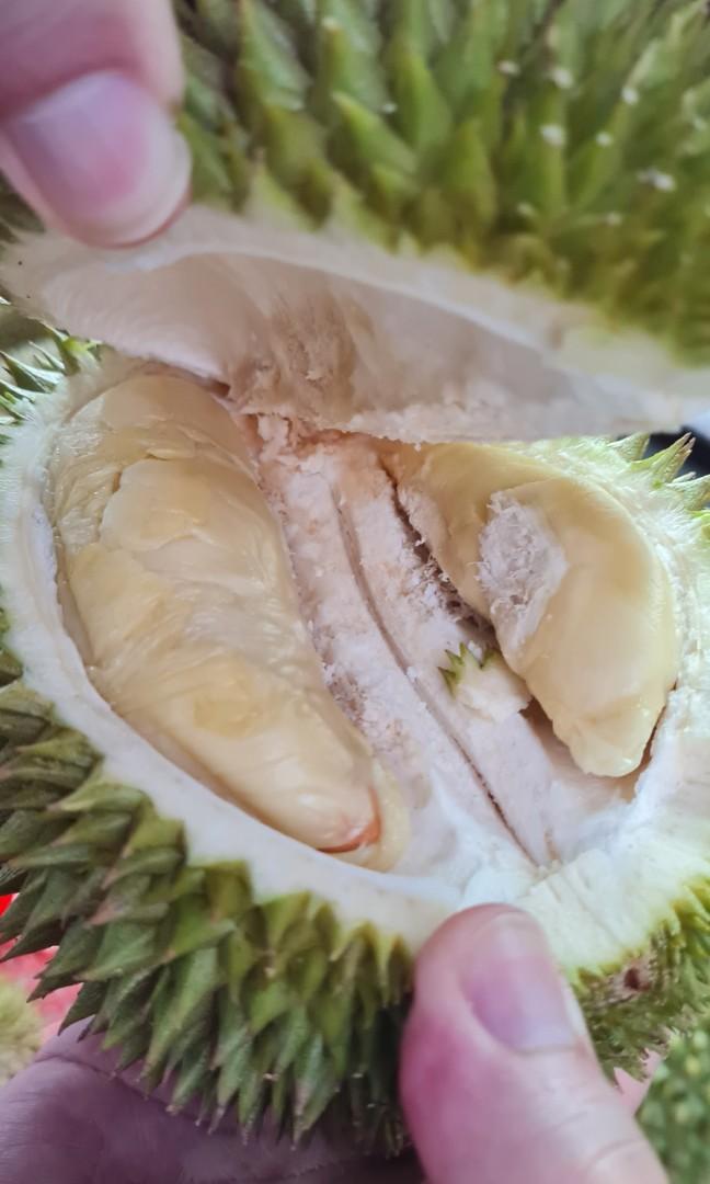 [NEW] DURIAN JINFENG GOLDEN PHOENIX small seed, Food & Drinks, Fresh ...