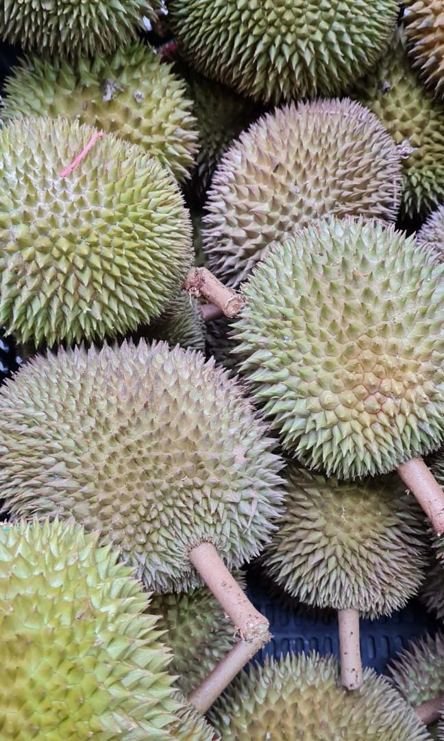 [NEW] DURIAN JINFENG GOLDEN PHOENIX small seed, Food & Drinks, Fresh ...