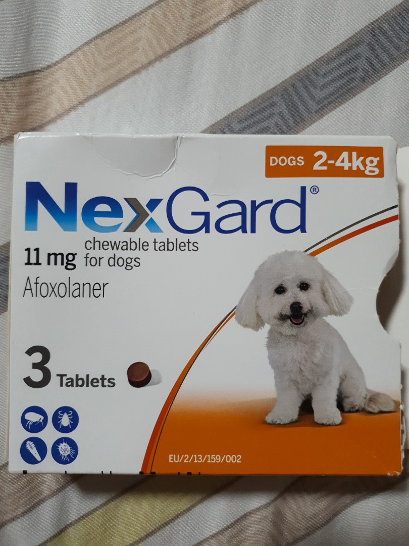 Nexgard 2-4kg, Pet Supplies, Health & Grooming on Carousell