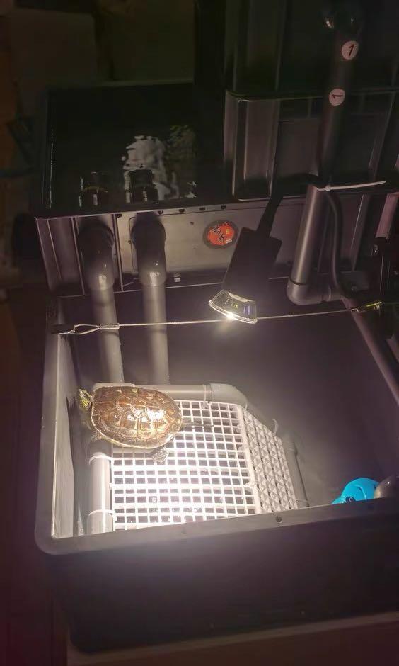 Turtle tub with filter system integration for turtle fish and aqua ...