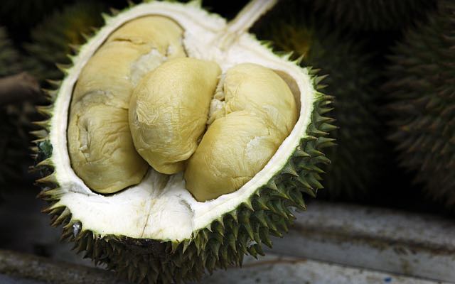Durian XO Group Share (5kg for $60), Food & Drinks, Fresh Produce on ...