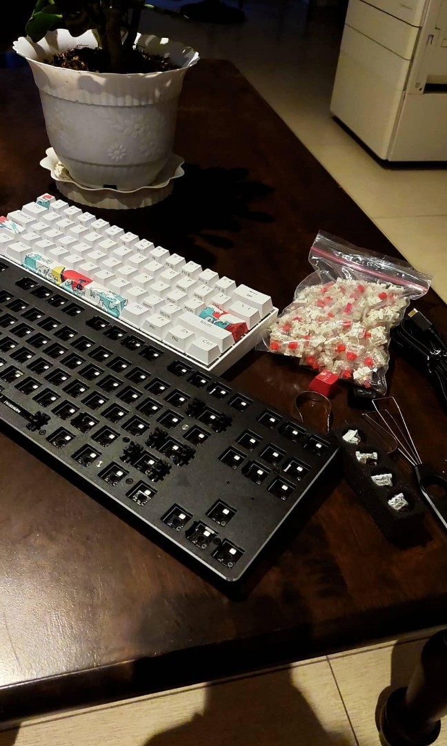 (NEGOTIABLE) FS/FT Glorious GMMK TKL Barebones and Gateron Red ...