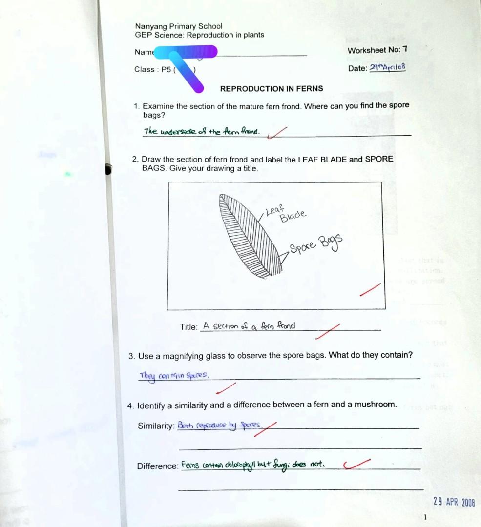 GEP. original Nanyang Primary School GEP Primary 5 Science notes ...