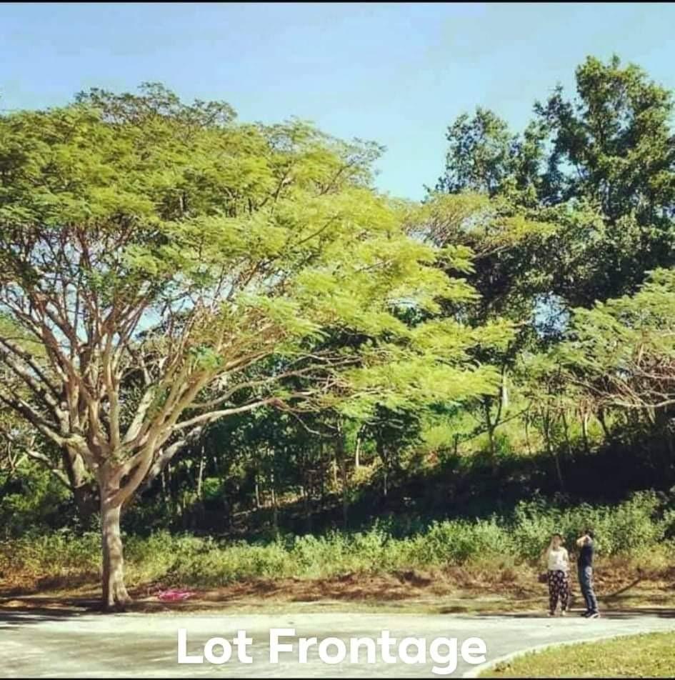 479 sqm Beach Residential Lot at PLAYA CALATAGAN, Property, For Sale ...