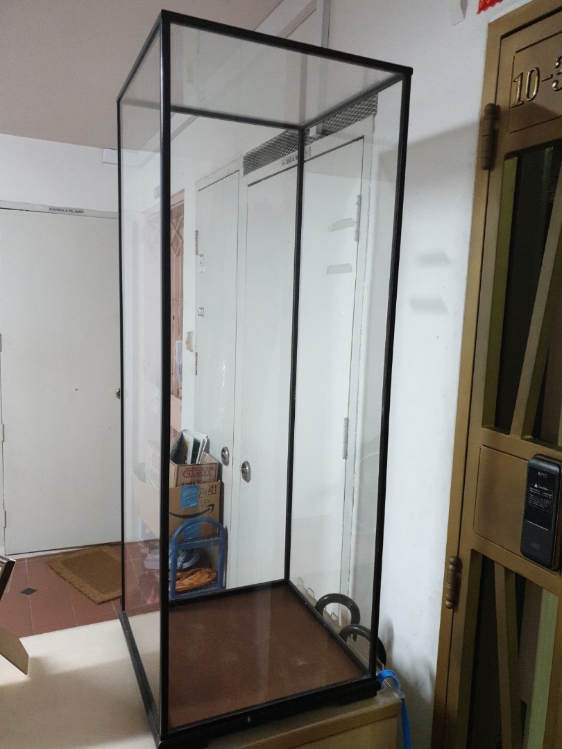 tall glass display case, Furniture & Home Living, Home Decor, Other ...
