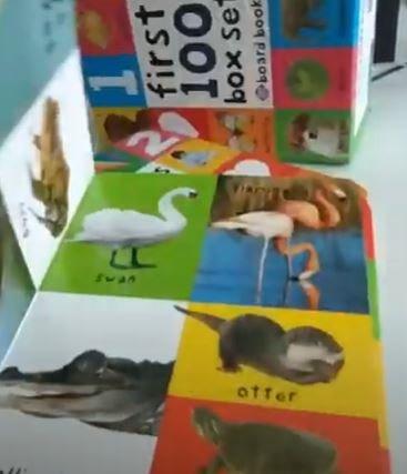 3 Books First 100 Board Book Box Set First 100 Words, Numbers Colors ...