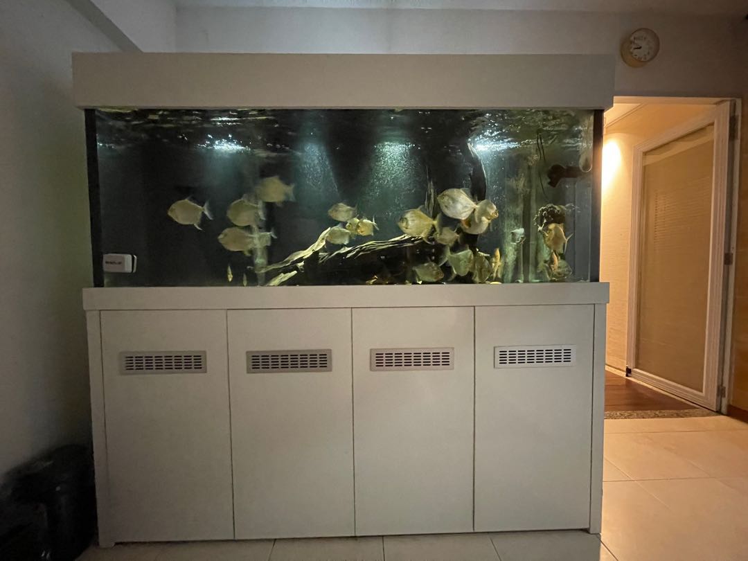 6ft tank complete with full cabinet and 4ft sump tank, Everything Else ...