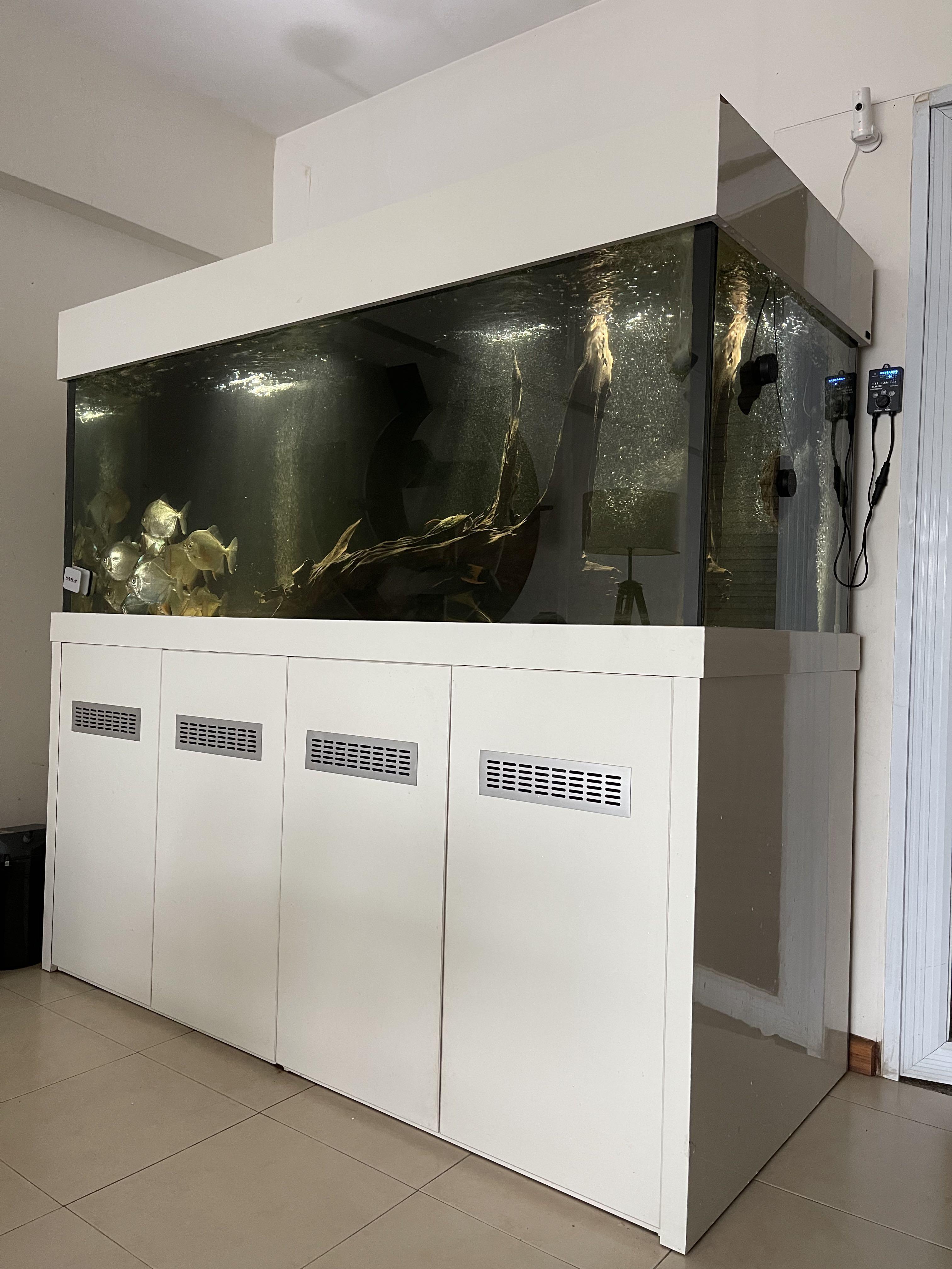 6ft tank complete with full cabinet and 4ft sump tank, Everything Else ...