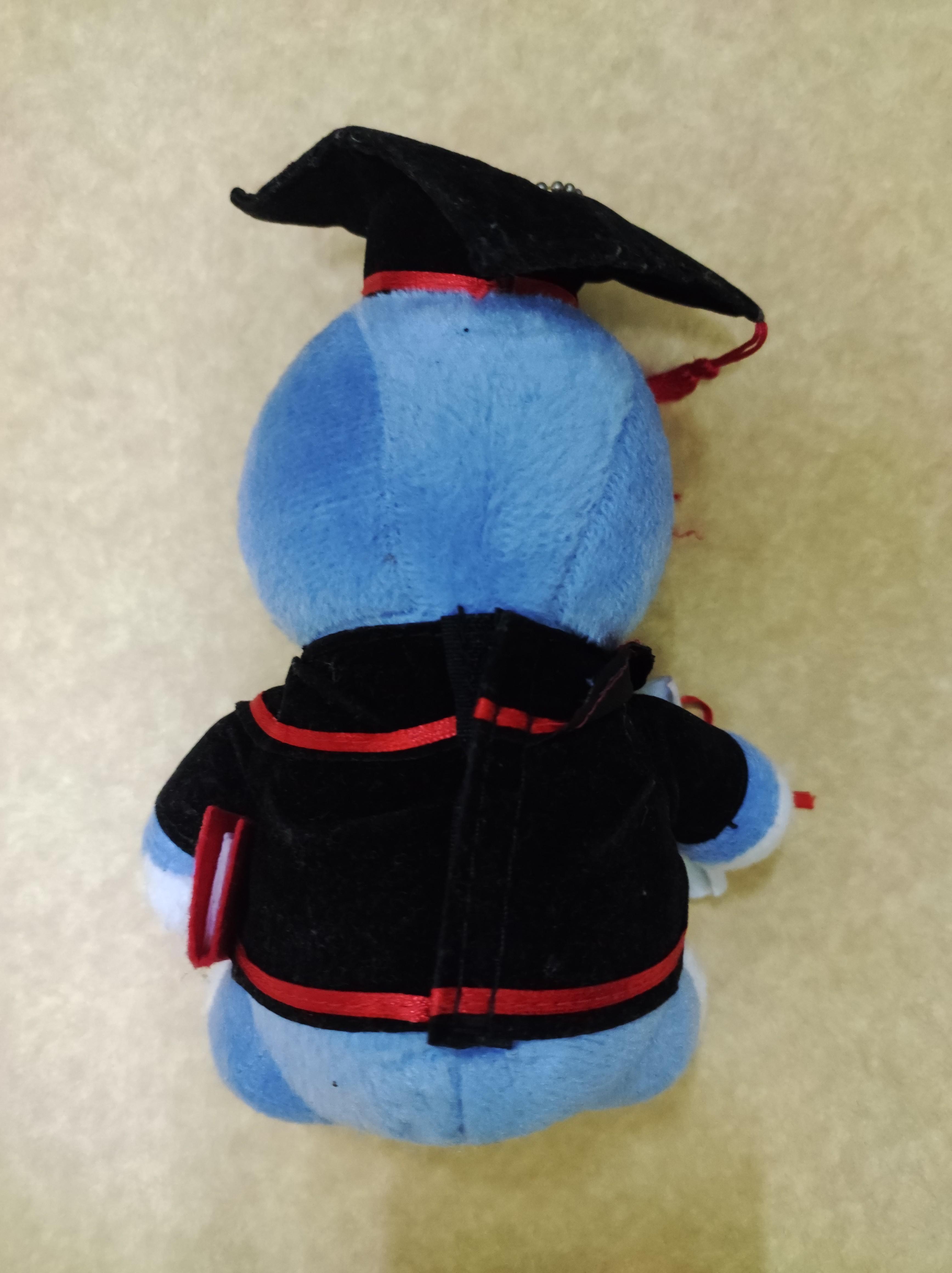 Graduation Doraemon doll, Hobbies & Toys, Toys & Games on Carousell