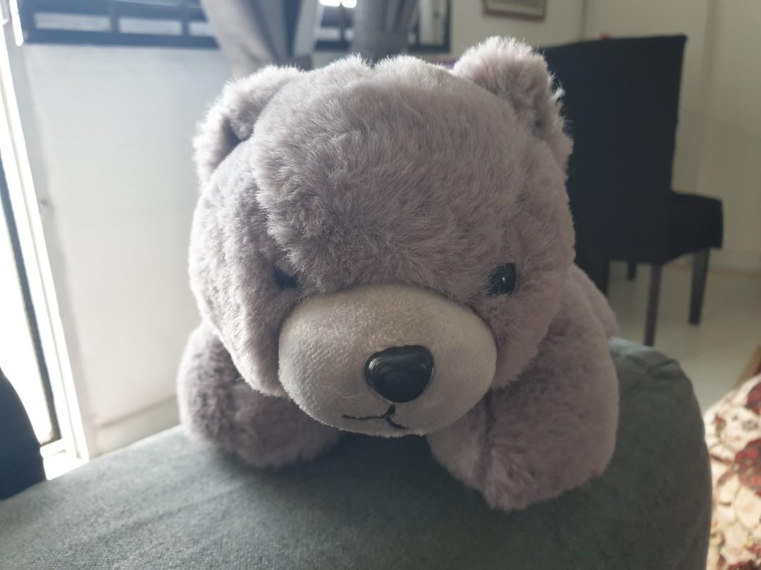 Miniso Teddy bear grey stuffed plush toy, Hobbies & Toys, Toys & Games ...
