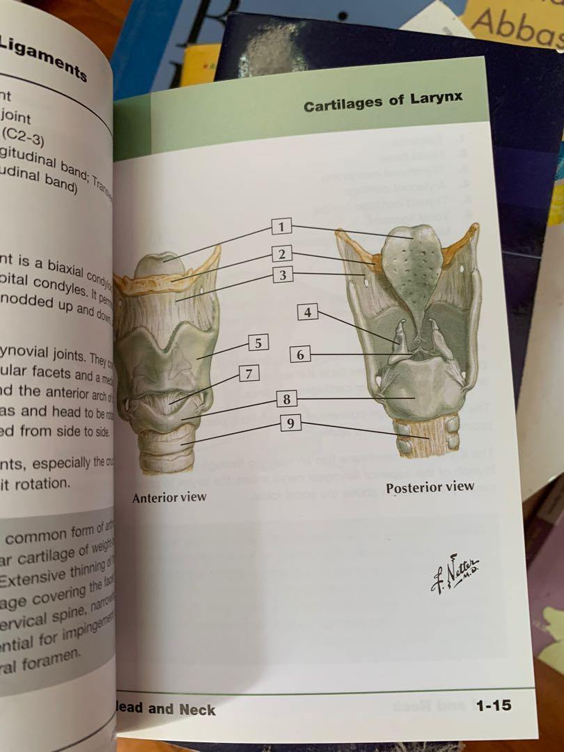 Netter’s Anatomy Textbook, Hobbies & Toys, Books & Magazines, Textbooks ...