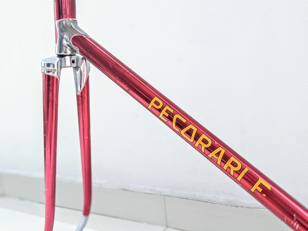 Pecorari bicycle vintage steel frame, Sports Equipment, Bicycles ...