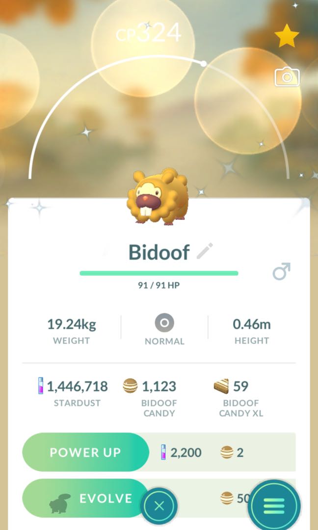 Shiny Bidoof Pokemon Go, Video Gaming, Gaming Accessories, In-Game ...