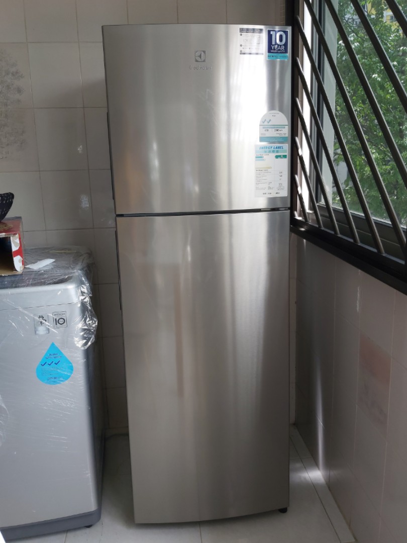 Electrolux 2-Door Fridge 256L (ETB2802H-A), TV & Home Appliances, Kitchen Appliances ...