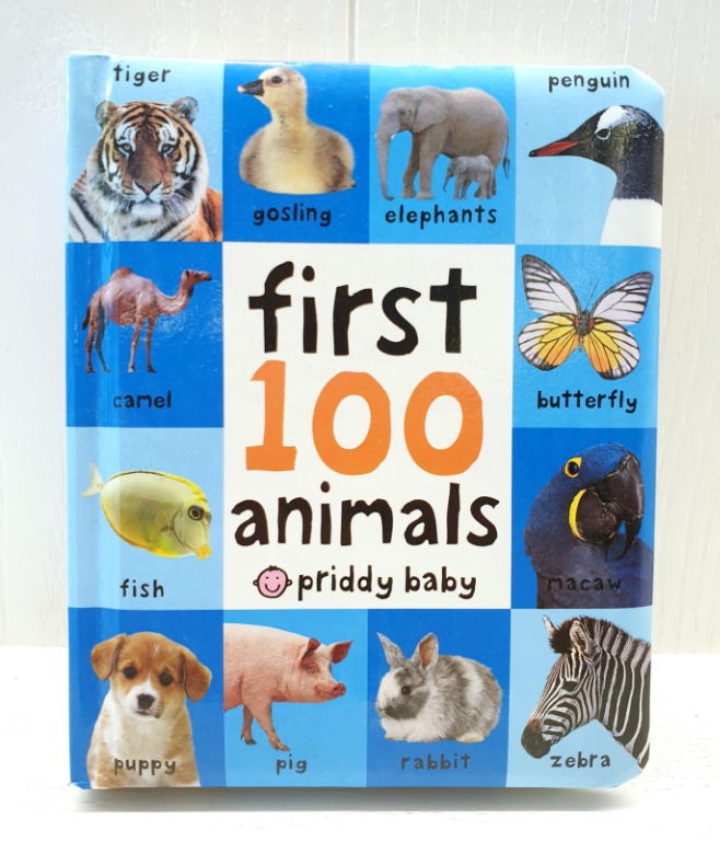 First 100 animals board book - Priddy Baby, Hobbies & Toys, Books ...