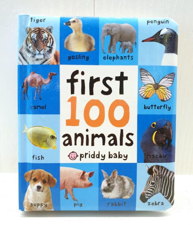 First 100 animals board book - Priddy Baby, Hobbies & Toys, Books ...