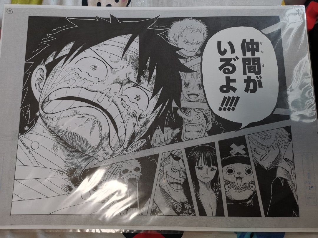 ONE PIECE Duplicate Manuscript 2013, Hobbies & Toys, Books & Magazines ...