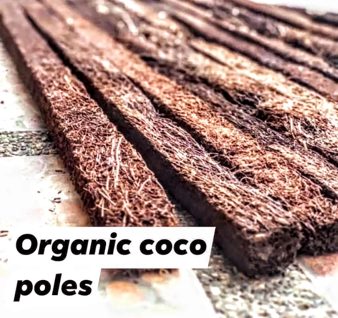 Organic coco poles 2ft 3ft for plants, Furniture & Home Living ...
