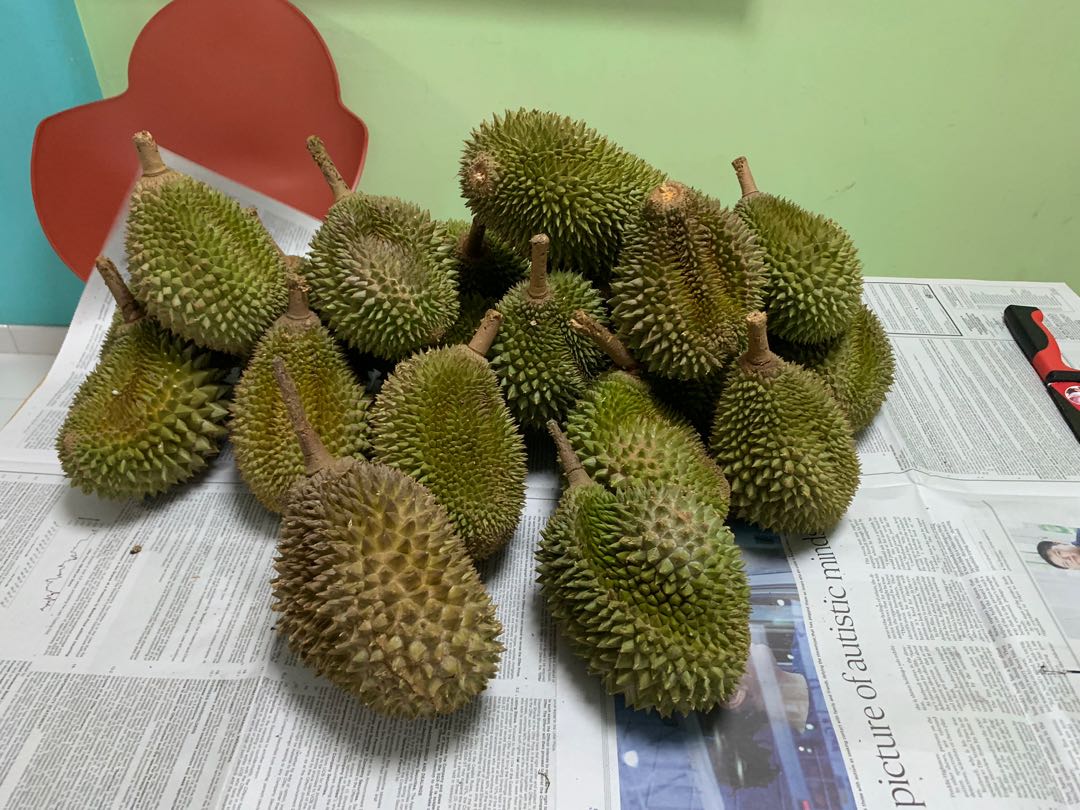 Black Pearl (Tai yuan) Durian $10/kg, Food & Drinks, Fresh Produce on ...