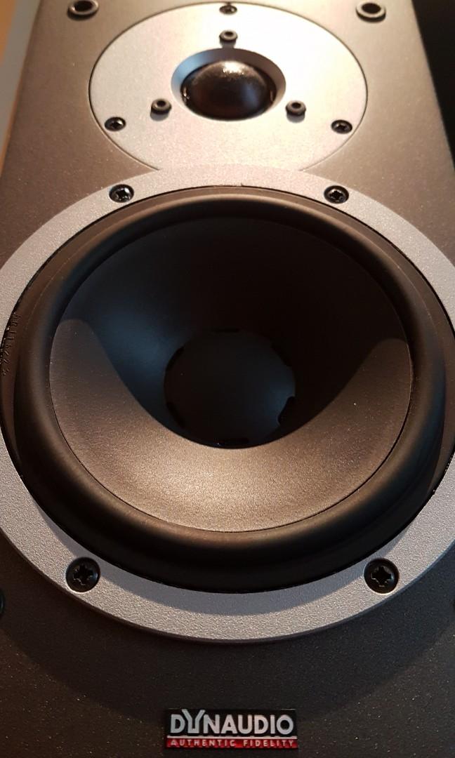 Dynaudio x12 amplifier