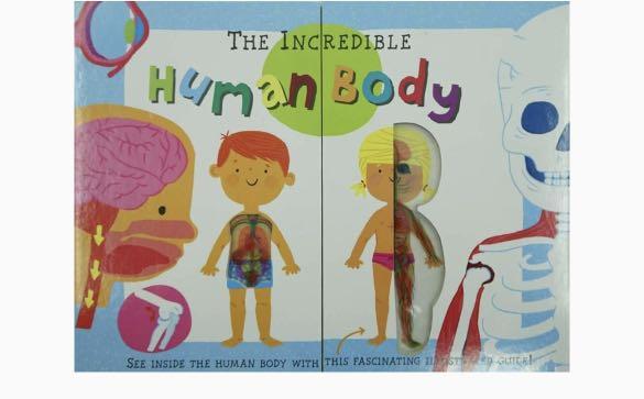 The Incredible Human Body, Hobbies & Toys, Books & Magazines, Children ...