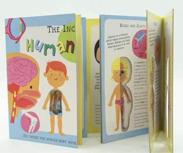 The Incredible Human Body, Hobbies & Toys, Books & Magazines, Children ...