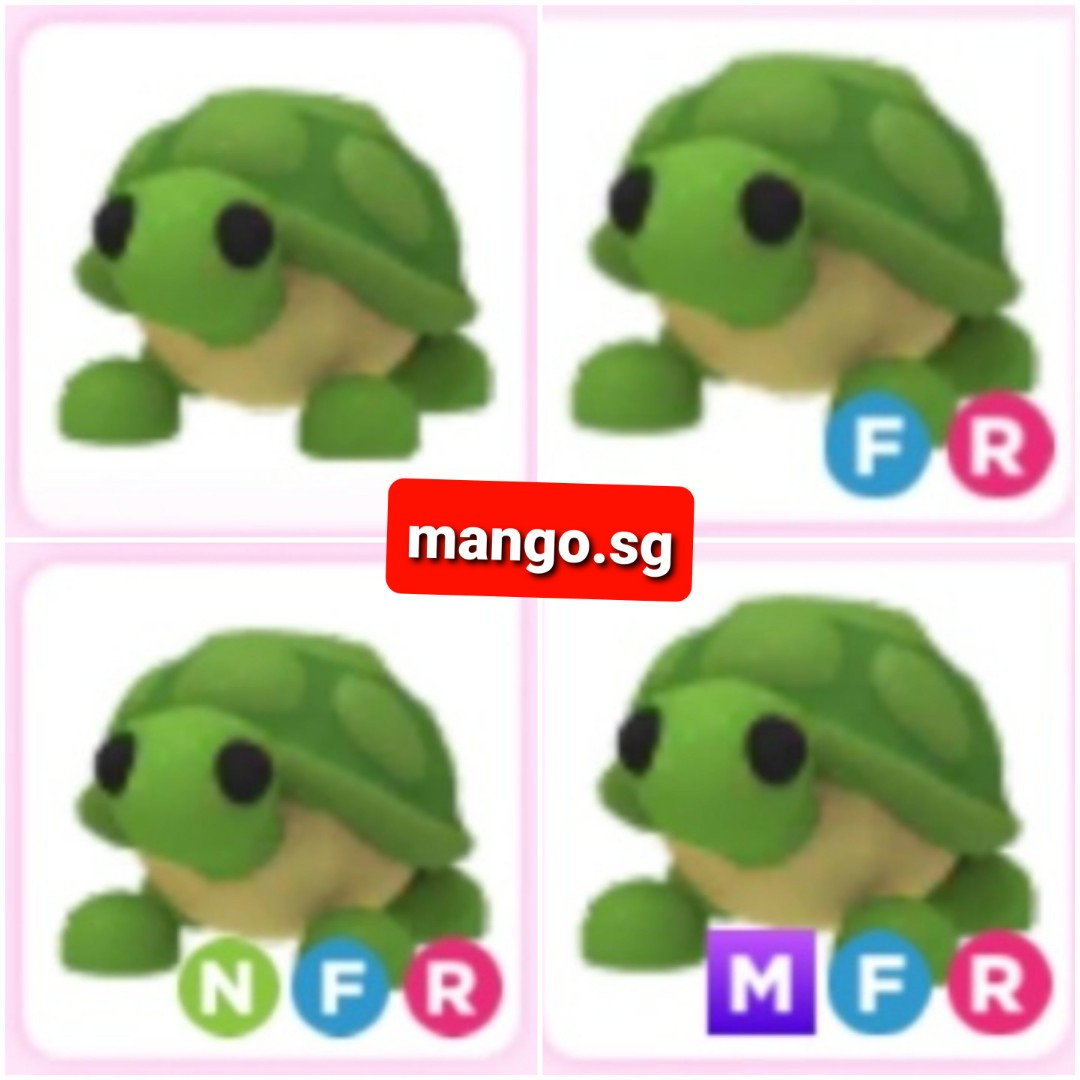 Turtle Adopt Me, Video Gaming, Video Games, Others on Carousell