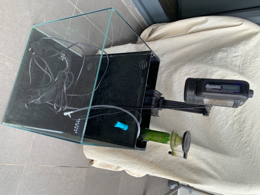 1ft IOS Fish Tank Set, Pet Supplies, Homes & Other Pet Accessories on ...