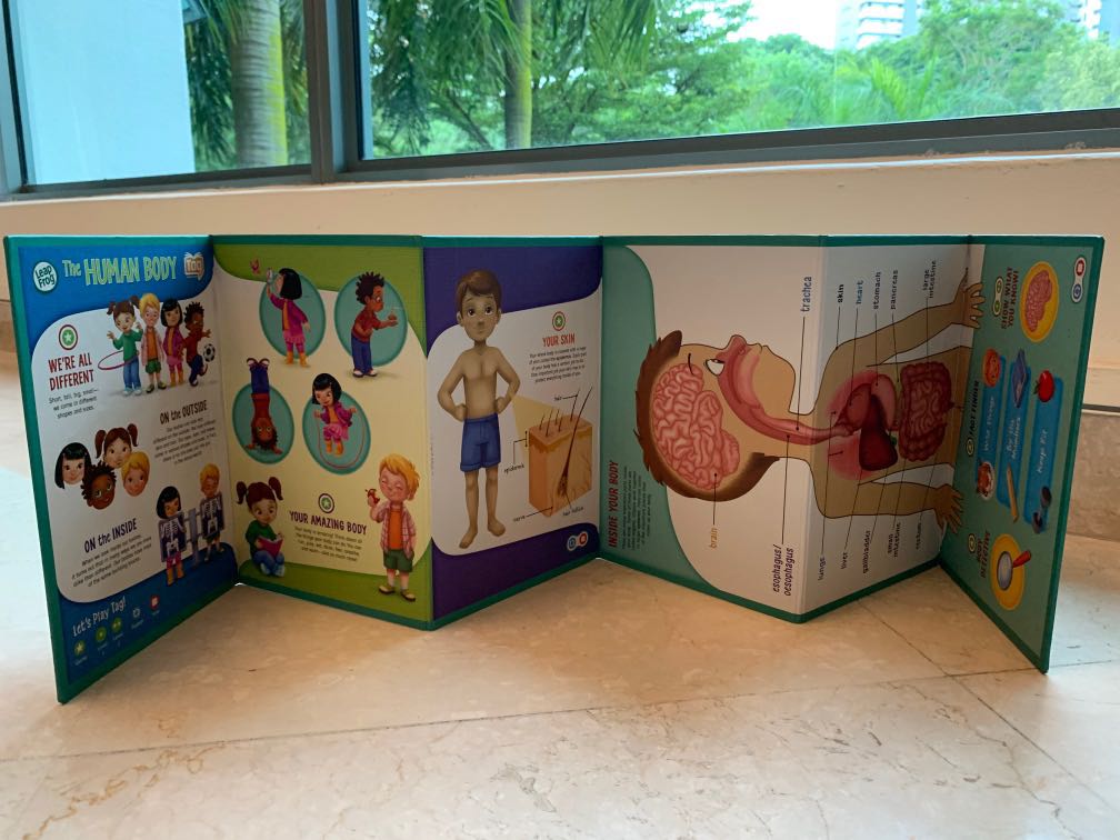 Leapfrog tag reader Human Body System, Hobbies & Toys, Toys & Games on ...