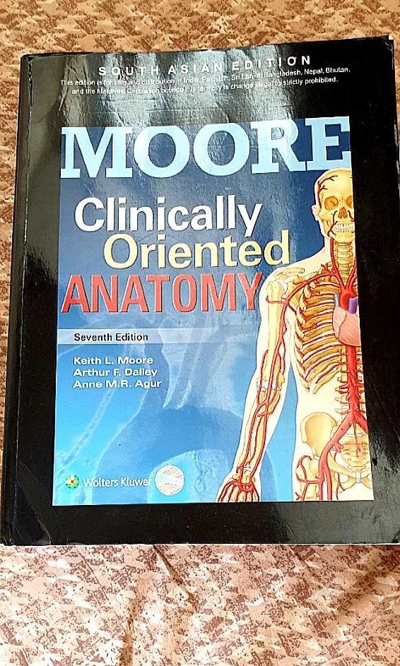 MOORE CLINCIAL ANATOMY FREE WITH NETTER ATLAS OF HUMAN ANATOMY, Hobbies ...