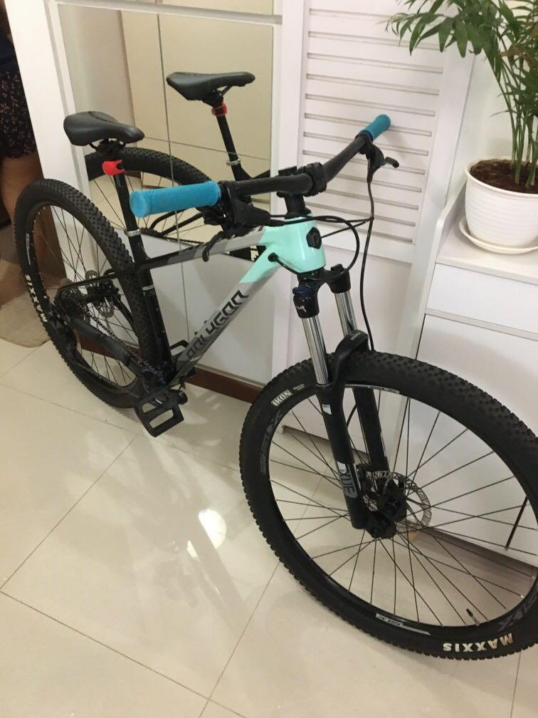Polygon Xtrada 5 2021, Sports Equipment, Bicycles & Parts, Bicycles on Carousell