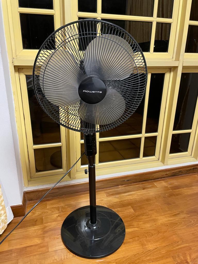 Rowenta Standing Fan, Furniture & Home Living, Lighting & Fans, Fans on ...
