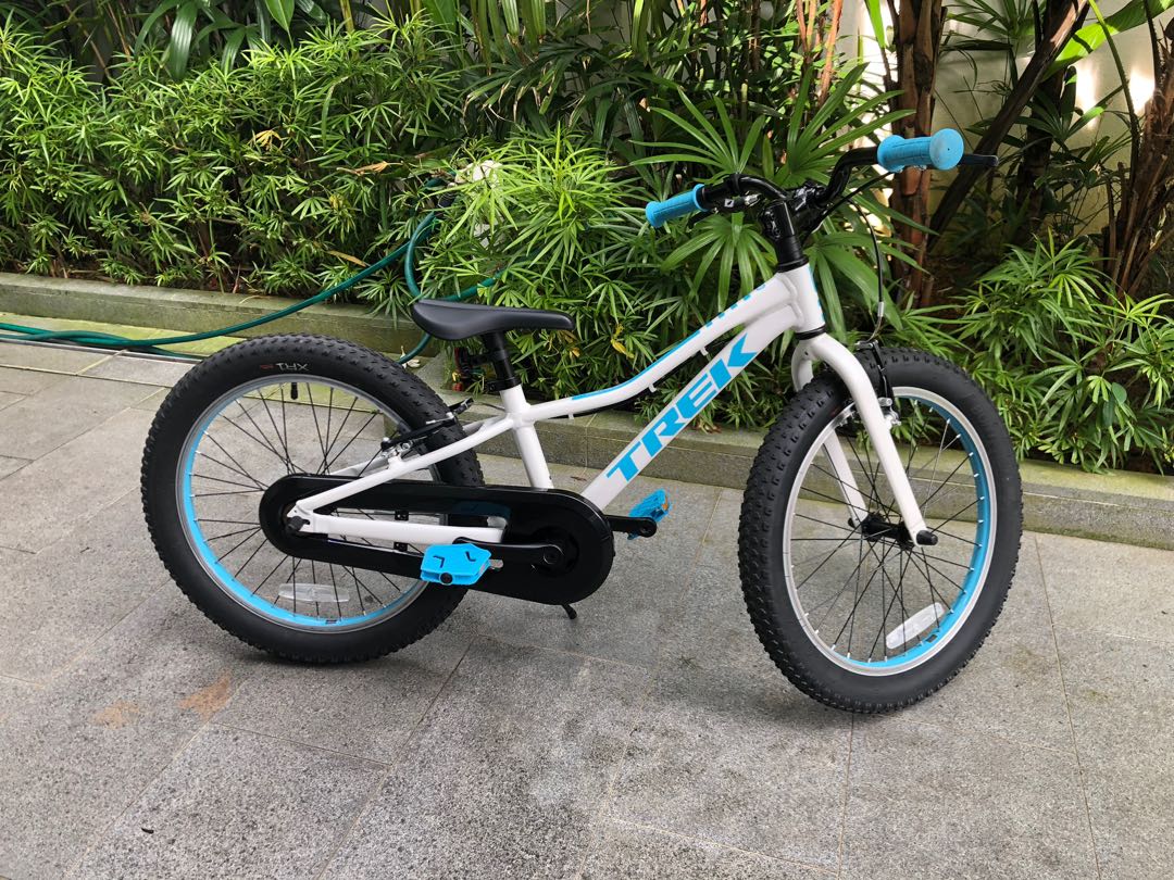 TREK Precaliber 20 inch Bicycle (for kids), Sports Equipment, Bicycles ...