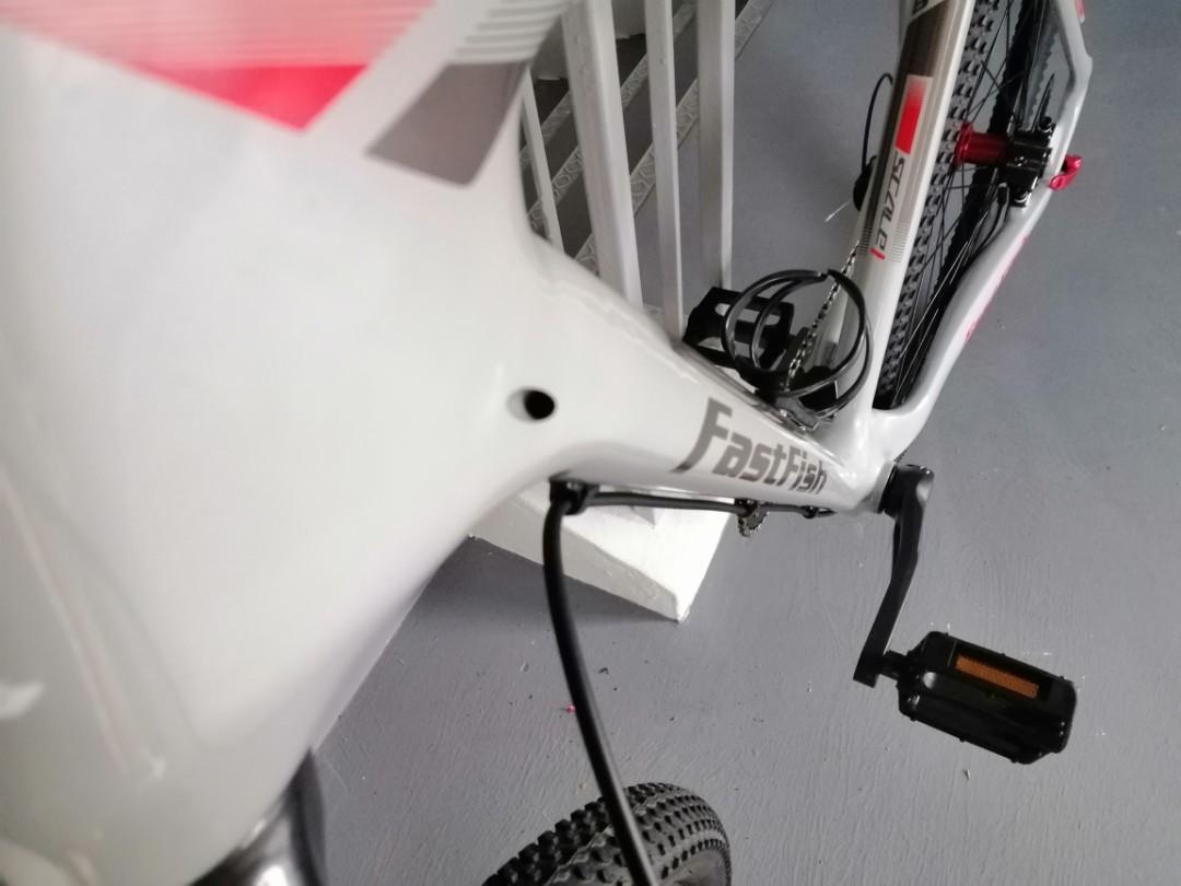 FastFish Scale 1 Mountain Bike *Original*, Sports Equipment, Bicycles ...