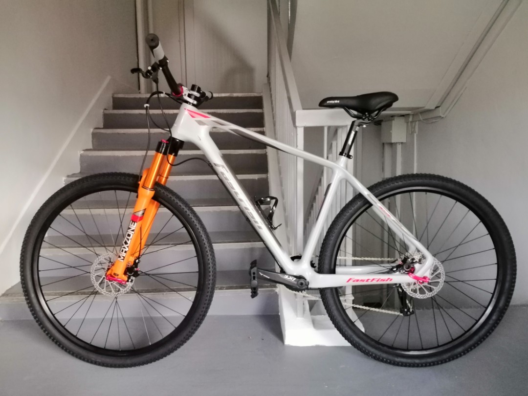 FastFish Scale 1 Mountain Bike *Original*, Sports Equipment, Bicycles ...