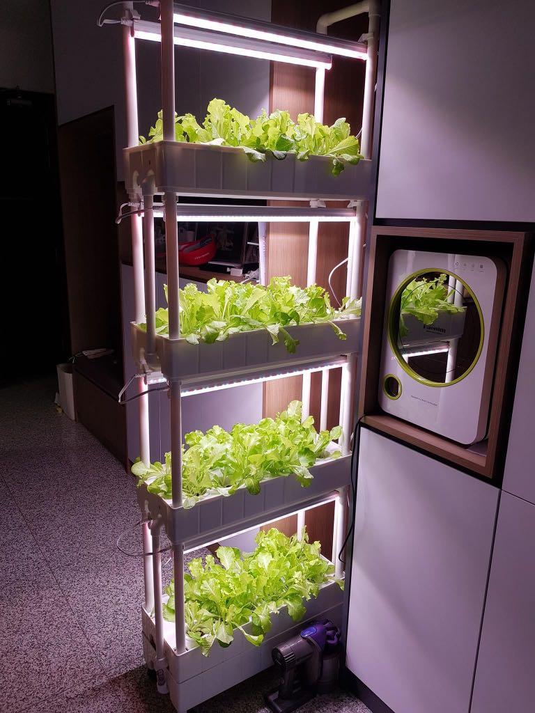 Hydroponics rack system., Furniture & Home Living, Gardening, Pots ...