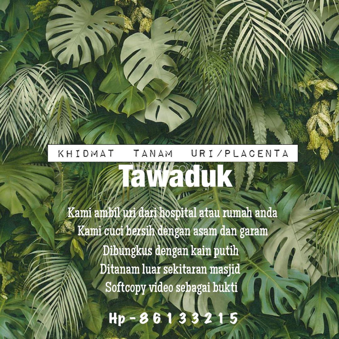 Khidmat tanam uri/placenta bayi, Babies & Kids, Maternity Care on Carousell