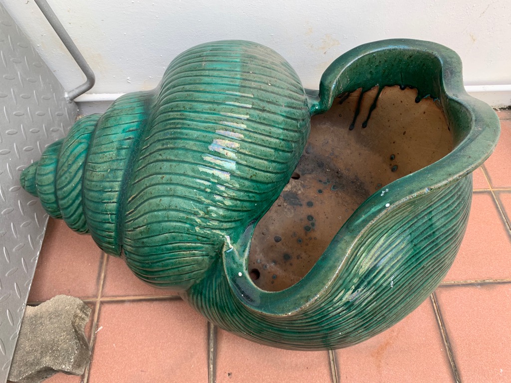 Large, Shell-shaped ceramic pot, Furniture & Home Living, Gardening ...