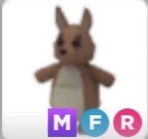 RUSH!! ADOPT ME MEGA KANGAROO FLY RIDE, Hobbies & Toys, Toys & Games on ...